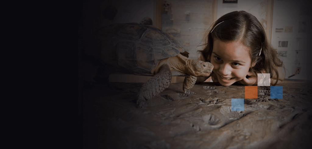 Nonprofit Consulting Firm | Services & Arts Marketing | JCA