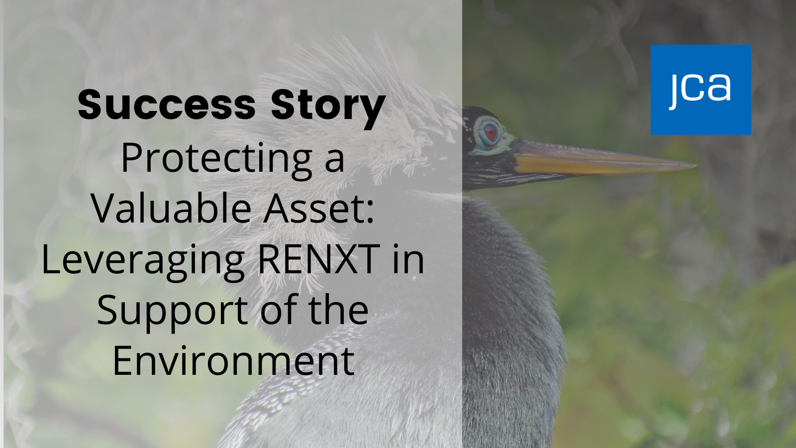 Success Story | Protecting a Valuable Asset: Leveraging RENXT in ...